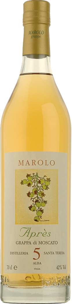 Grappa di Moscato 42° 70cl | Carniato